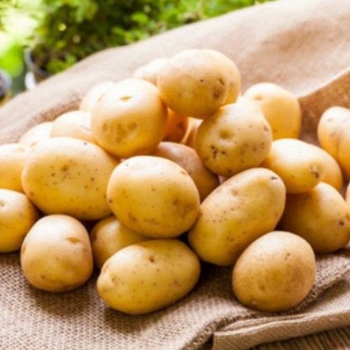 Jual BABY POTATO FRESH / KENTANG BABY SEGAR 500 GRAM / PACK | Shopee ...