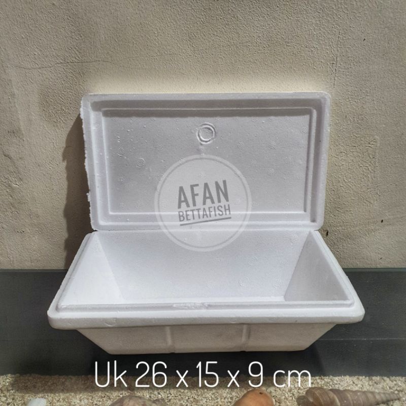 Jual Styrofoam Ice Cream Gelato 1000 ml / Styrofoam Packing | Shopee ...