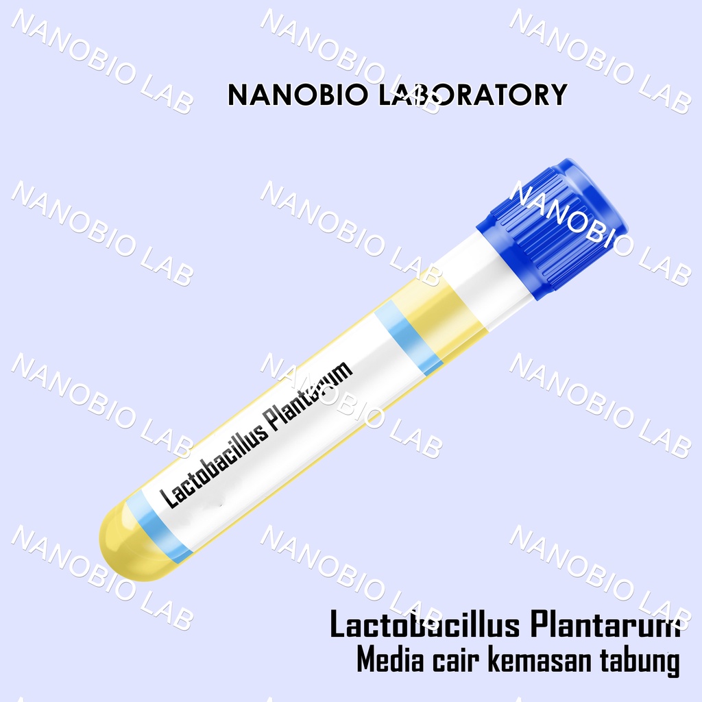 Jual Isolat Culture Lactobacillus Plantarum Media Cair 50ml | Shopee ...