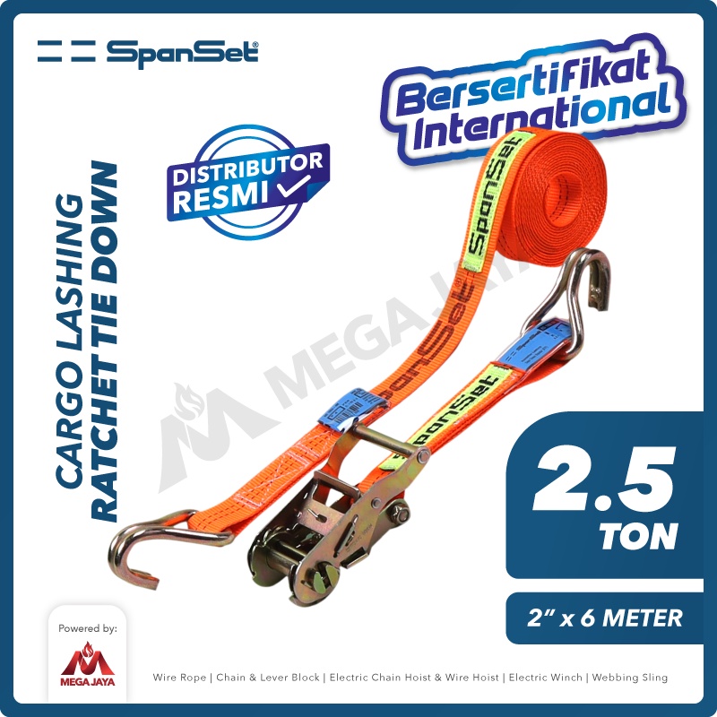 Jual SPANSET Ratchet Tie Down Cargo Lashing Belt 2" x 6M Pengikat Barang | Shopee Indonesia