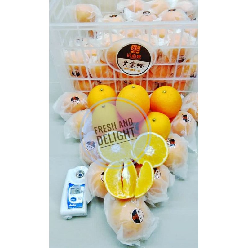 Jual Jeruk Navel RRC Manis | Shopee Indonesia