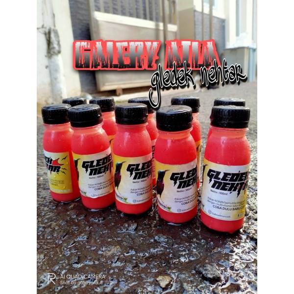 Jual gledek nektar pakan burung kolibri | Shopee Indonesia