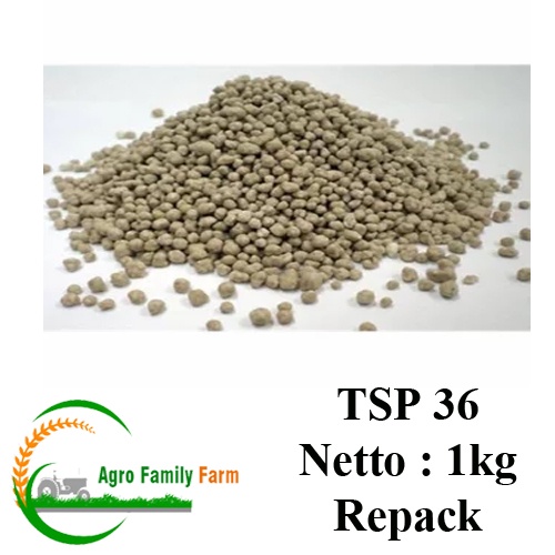 Jual Pupuk SP26 TSP 1 Kg Pupuk Majemuk Petrokimia Gresik | Shopee Indonesia