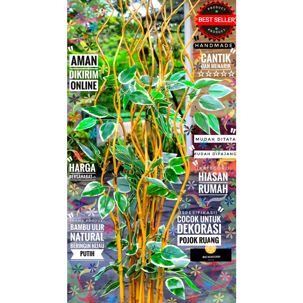 Jual Hiasan Rumah 15 Btg Bambu Ulir Natural Daun Beringin Hijau Putih ...