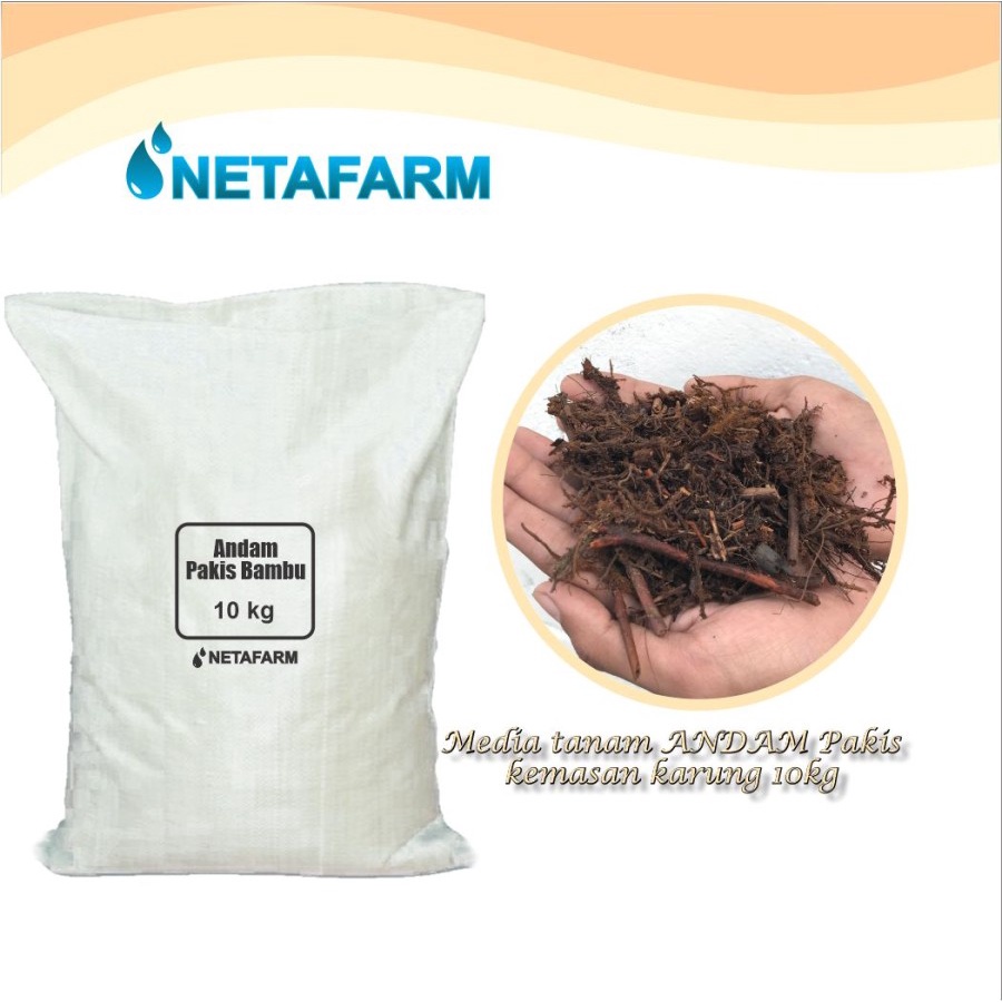 Jual Media Tanam Andam Pakis Bambu Akar Daun Batang Organik - karung 10 ...