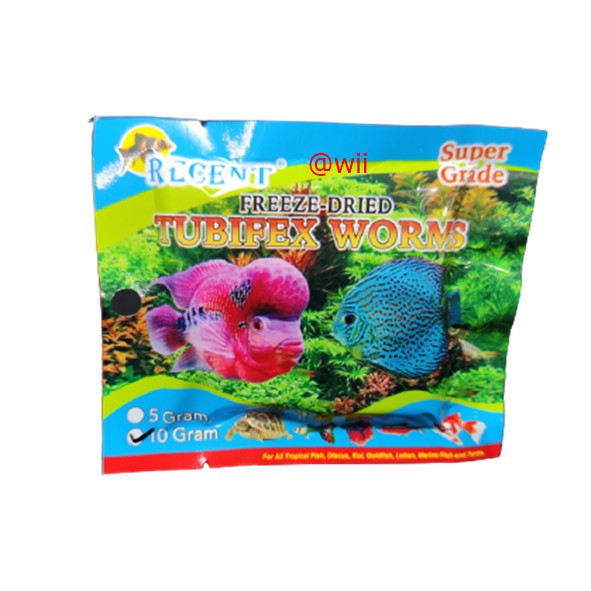 Jual cacing kering 5gr 5 gr 10gr 10 gr makanan pakan ikan hias | Shopee ...