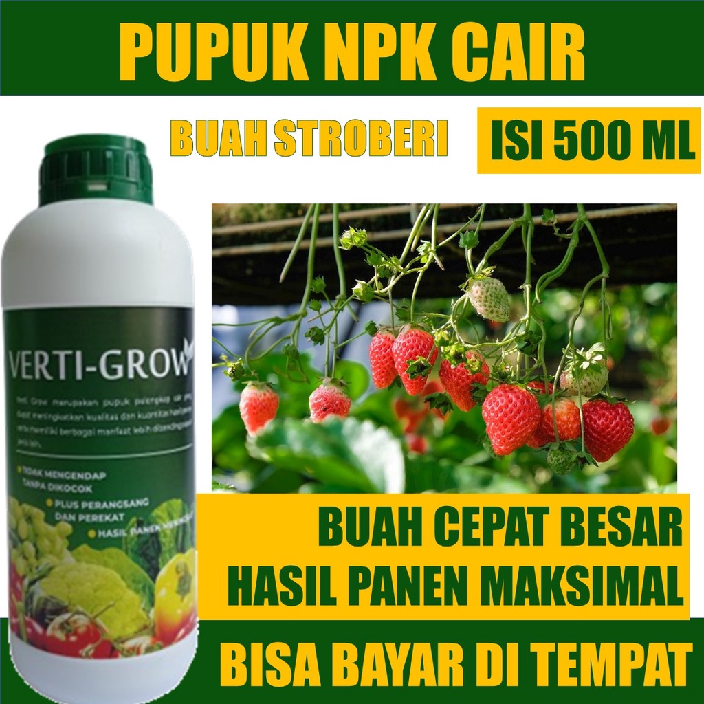 Jual Promo Pupuk NPK CAIR 500 ML Pelebat Stroberi Terbaik Verti Grow - Obat Pelebat Stroberi ...