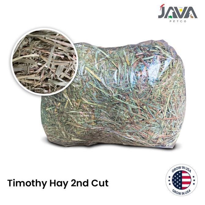 Jual Timothy Hay 2Nd Cut - Makanan Kelinci - Rumput Daily Timothy Hay 1 ...