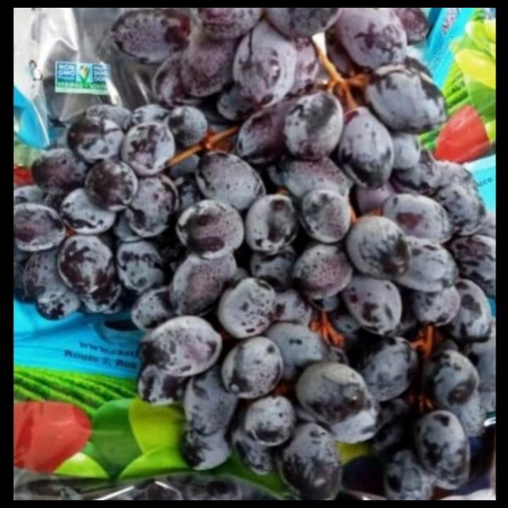 Jual Anggur Hitam / Black Grappes Autumn Seedless 1 Box | Shopee Indonesia