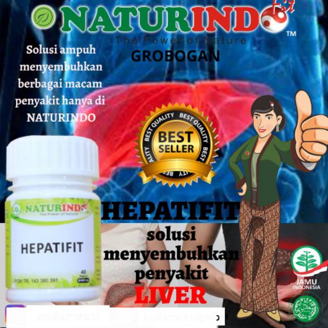 Jual Obat Herbal HEPATIFIT ( Spesial LIVER & HATI ) | Shopee Indonesia