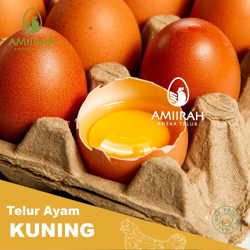 Jual Telur Ayam Negeri 1 kg Fresh Amiirah Telur ( Isi 15-17 Butir ...