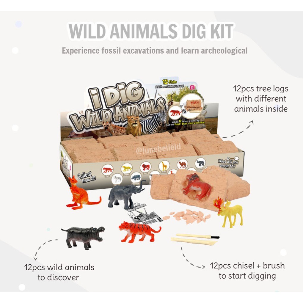Jual Wild Animals Dig Kit | Shopee Indonesia