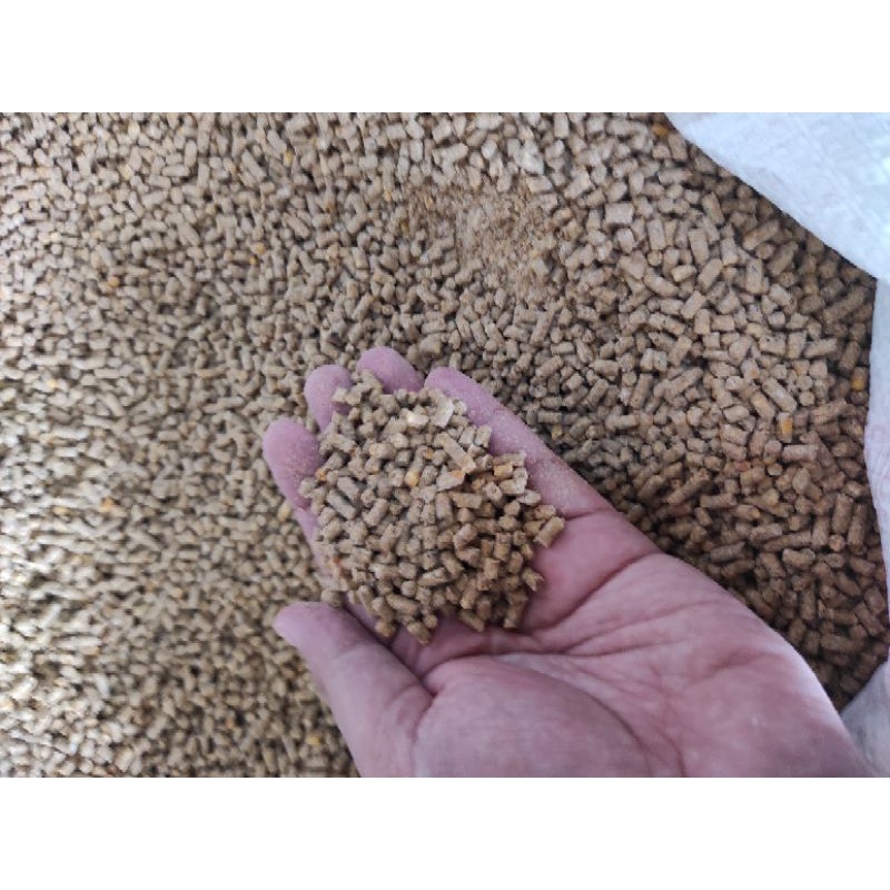 Jual PUR 511/512 BRAVO AYAM PEDAGING USIA TIGA MINGGU 500 GRAM | Shopee ...