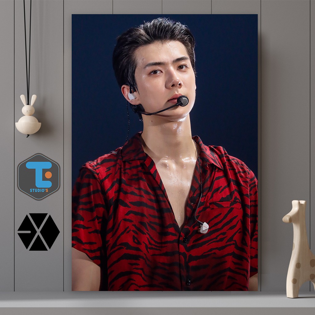 Jual Poster Oh Se-hun Kpop Hiasan Dinding Sehun EXO Wall Decor Rumah ...