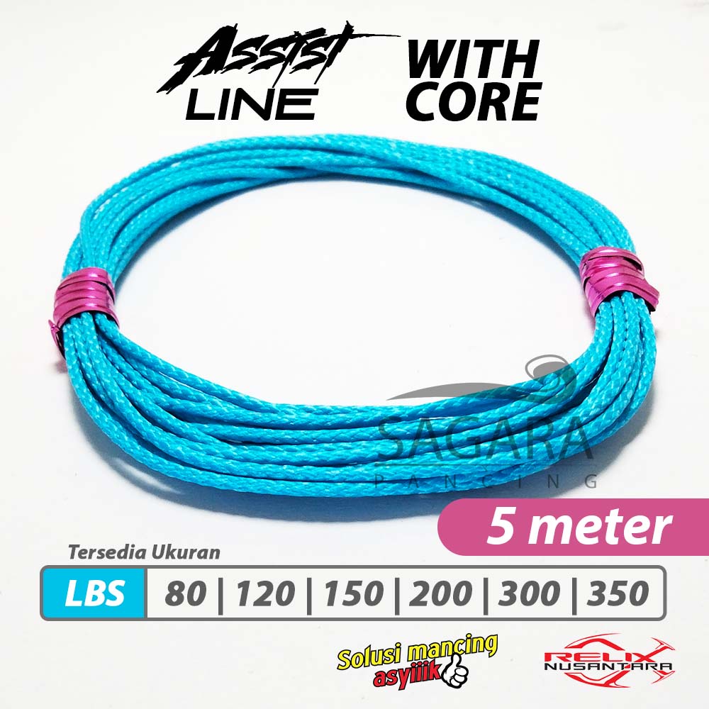 Jual Assist Line With Core 5 Meter Relix Nusantara Kevlar Hollow Assist ...