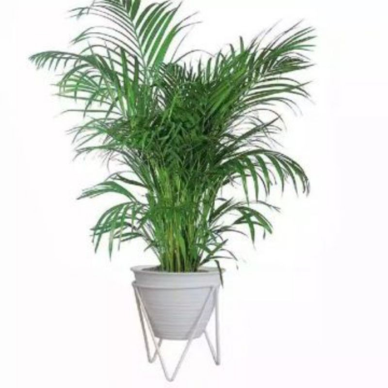 Jual standing pot bunga/dudukan pot tanaman 18cm tinggi 20cm | Shopee ...