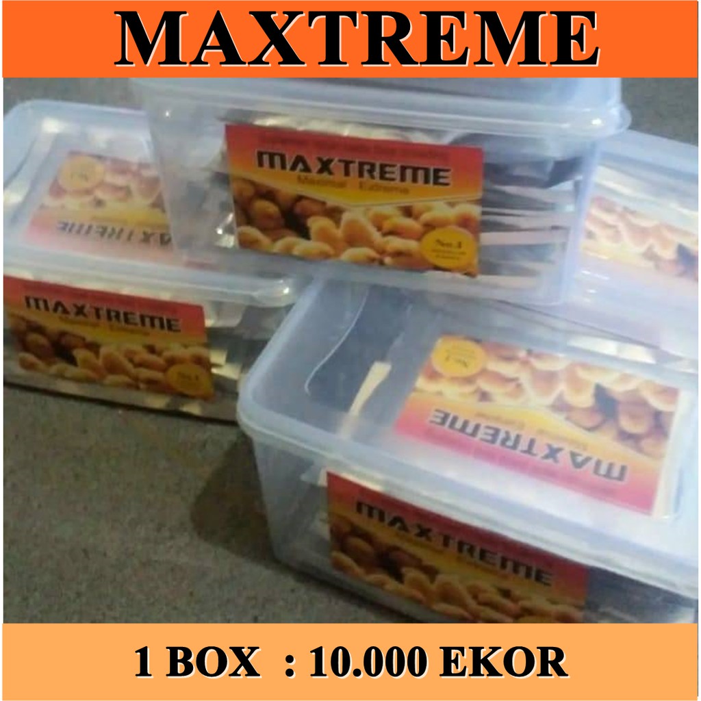 Jual MAXTREME suplemen ayam broiler 1 box 10 saet / obat ayam broiler ...