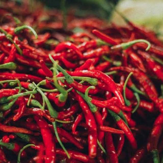 Jual Cabe merah keriting bandung | Shopee Indonesia