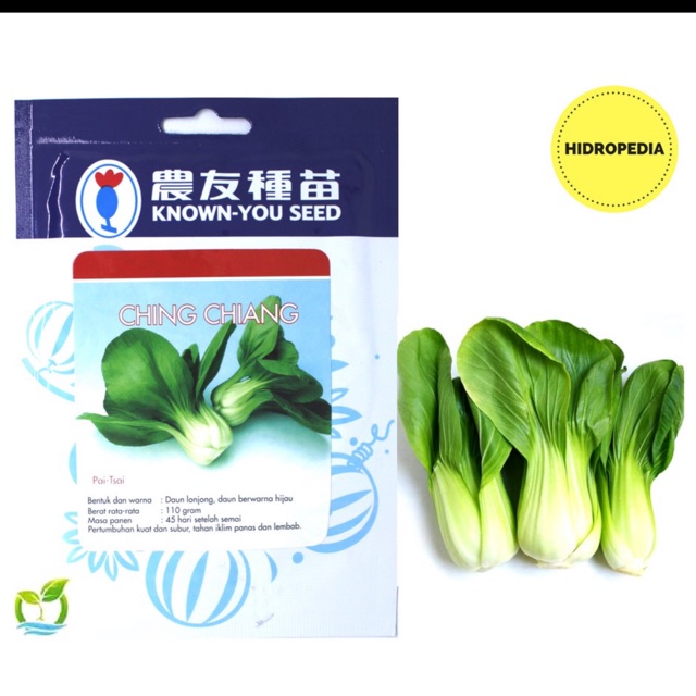 Jual Pakcoy Ching chiang 10gr Pak coy (Pai-Tsai) sawi sendok know you ...