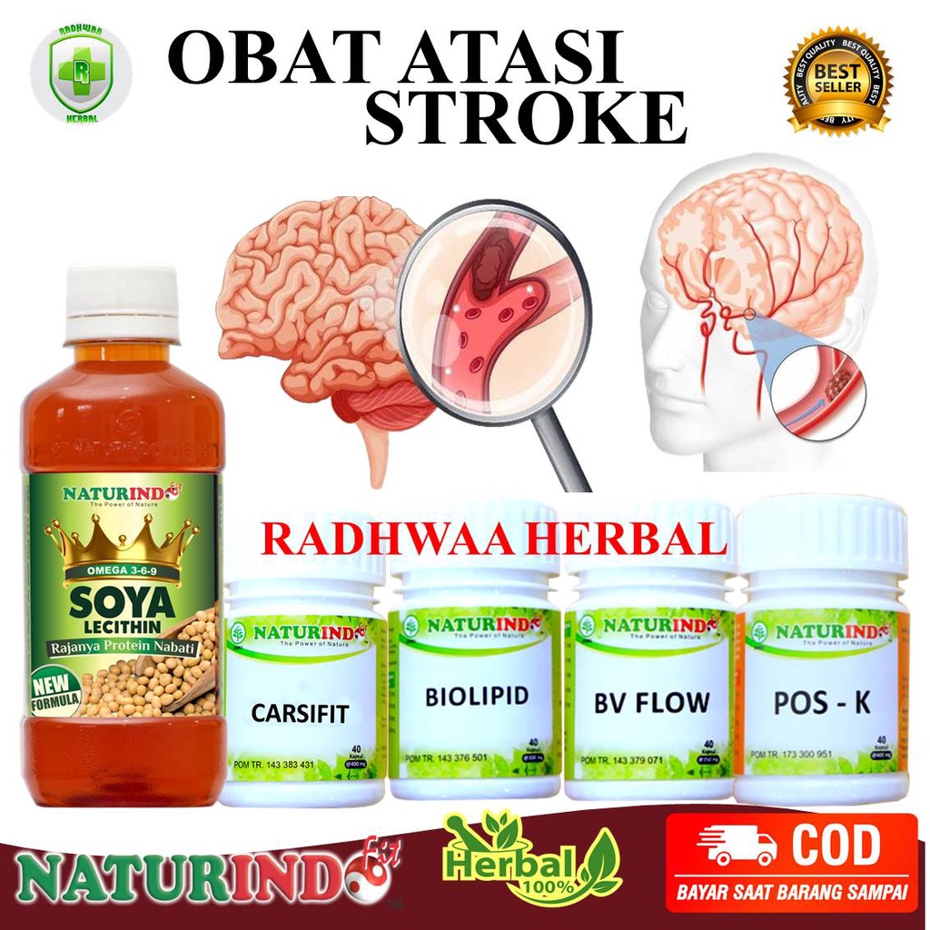 Jual Obat stroke struk ringan berat mati sebelah lumpuh menahun stroke ...