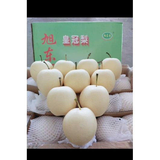 Jual Pear Pir Century Madu Super Manis 1 Kg | Shopee Indonesia