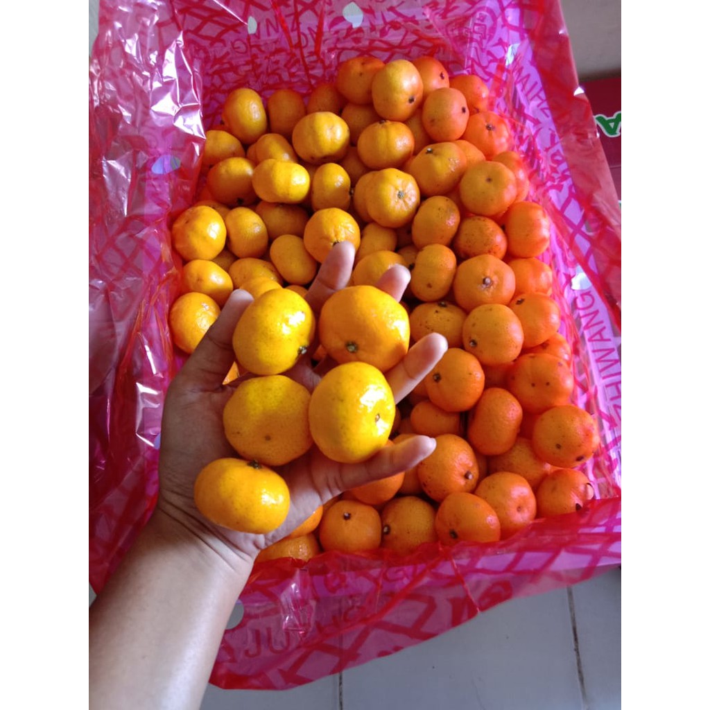 Jual Jeruk Shantang / Jeruk Santang 500 gram | Shopee Indonesia