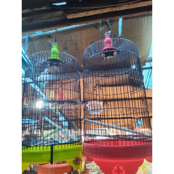 Jual sangkar besi bulat diameter 27 import ( buat kenari/Lovebird dll ...