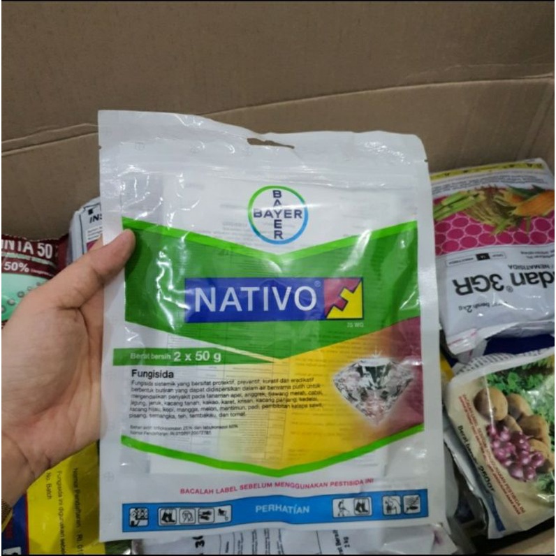Jual OBAT HAMA FUNGISIDA NATIVO DARI BAYER 1pax isi 100gr = 2 bgks ...