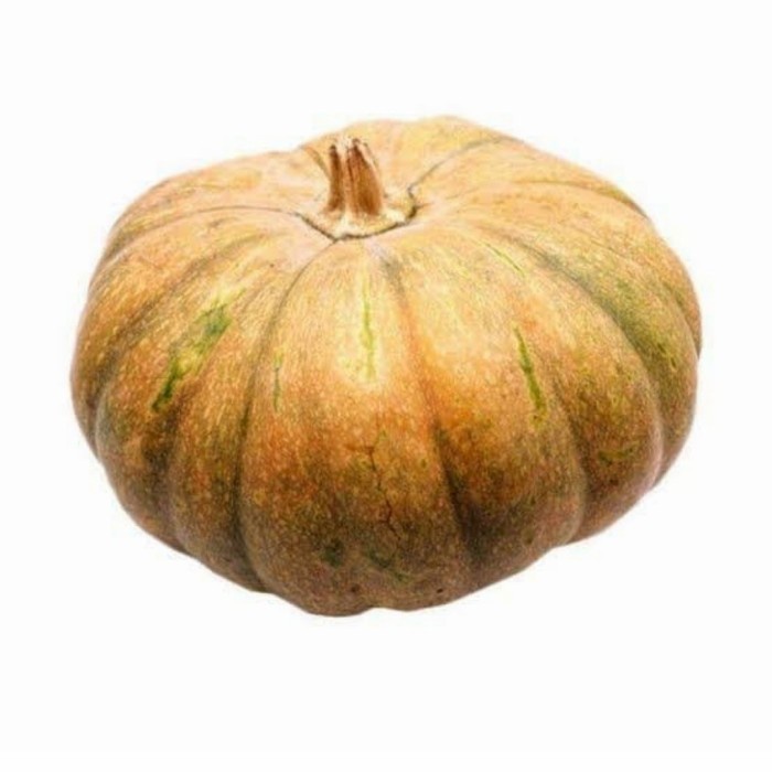 Jual Labu Parang - 1 Buah | Shopee Indonesia