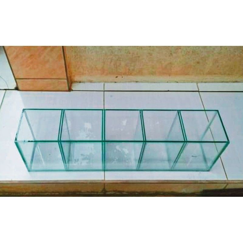Jual Soliter ikan cupang kamar 5 /Aquarium ikan cupang sekat 5 | Shopee ...