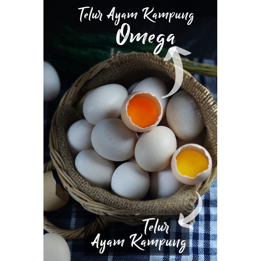 Jual Telur Ayam Kampung / Telur Ayam Kampung Omega 3 | Shopee Indonesia
