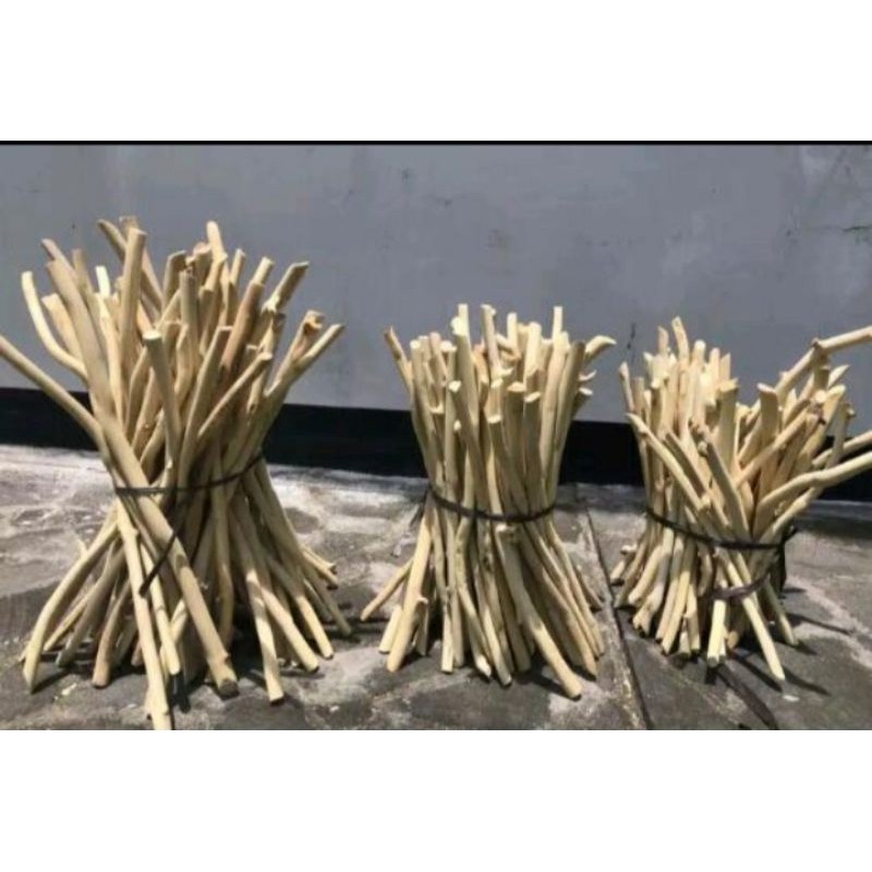 Jual Ranting kayu jati kering | Shopee Indonesia