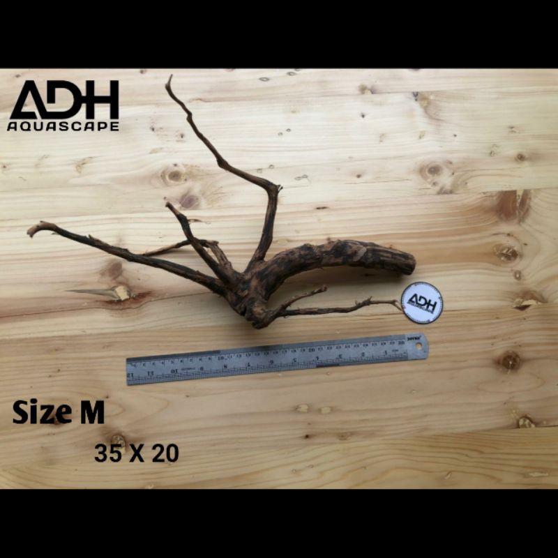 Jual Akar rasamala aquascape - Kayu rasamala aquascape | Shopee Indonesia