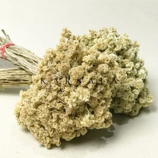 Produk Karsala Living | Shopee Indonesia