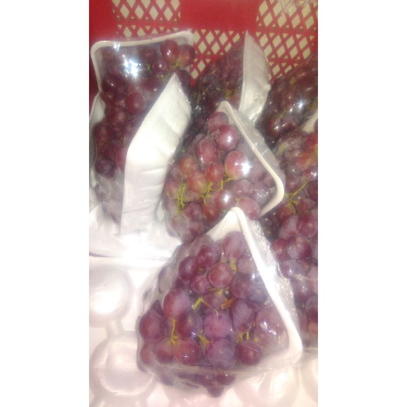 Jual Anggur merah uSa / rrc khusus gosend | Shopee Indonesia