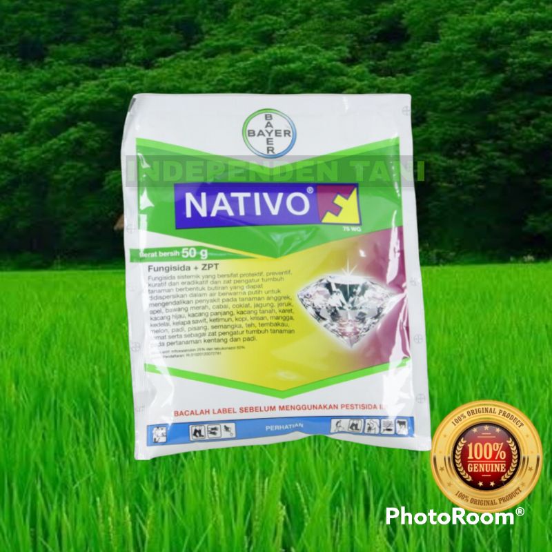 Jual FUNGISIDA SISTEMIK - NATIVO 75WG ( 50 Gram ) | Shopee Indonesia