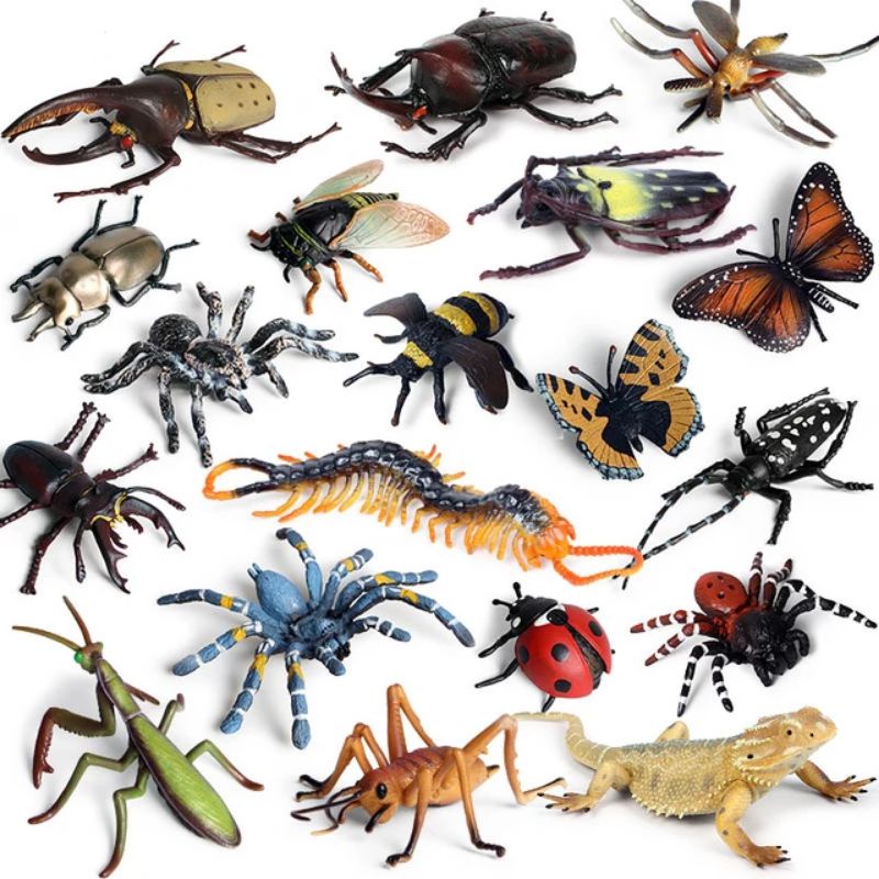 Jual Mainan Hewan Serangga/Mainan Simulasi Edukasi Bentuk Serangga ...