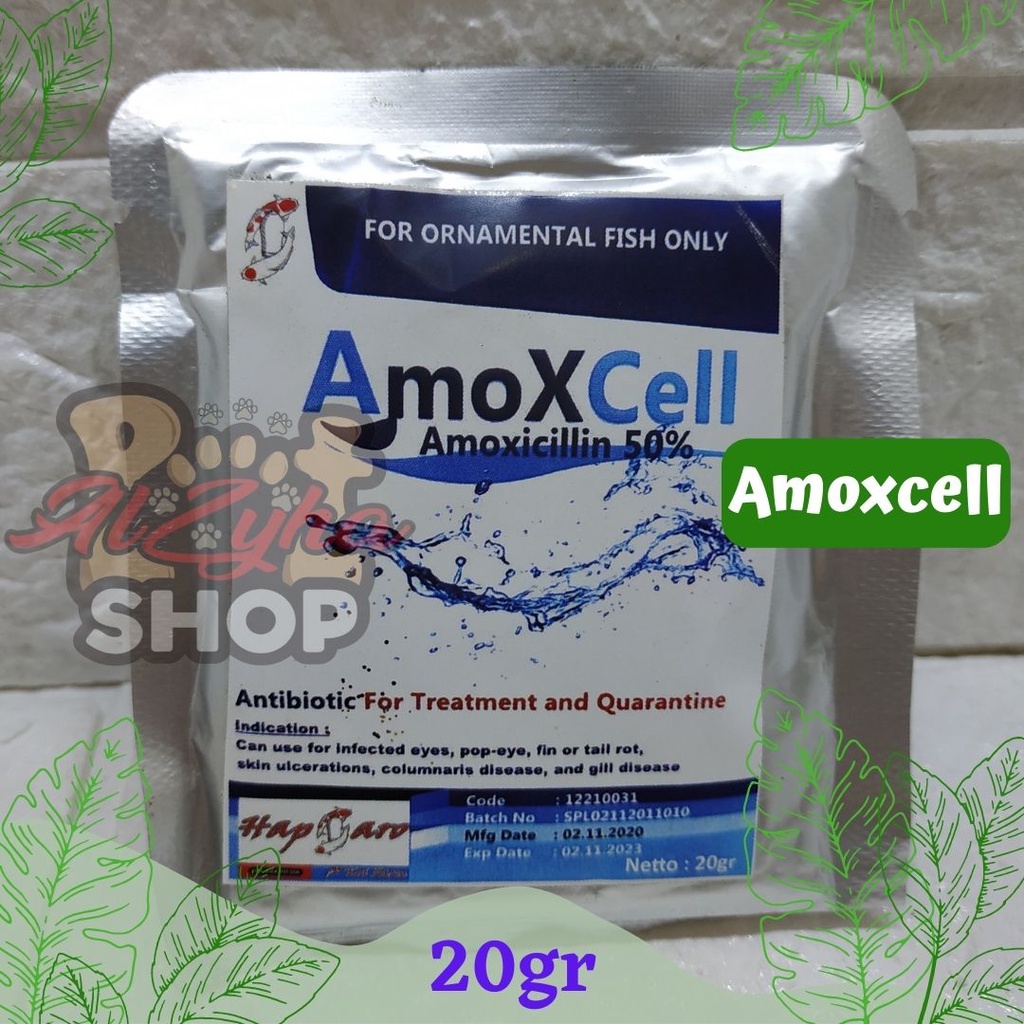 Jual (20gr) AMOXCELL repack | Shopee Indonesia