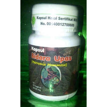 Jual Kapsul Bidara Upas Solusi Kesehatan Saluran Cerna | Shopee Indonesia