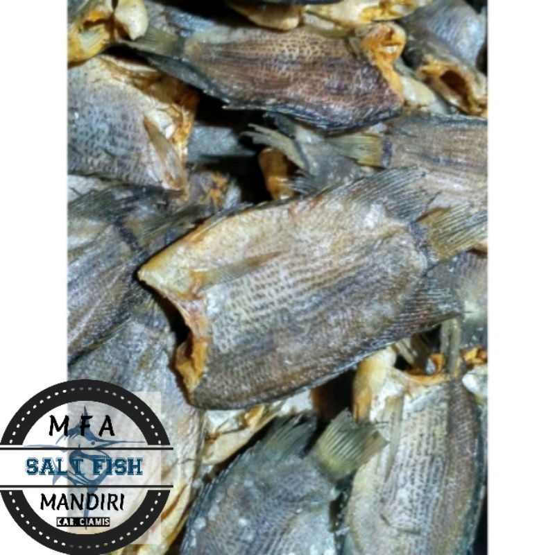 Jual ikan asin tembakang/biawan 500 gr | Shopee Indonesia
