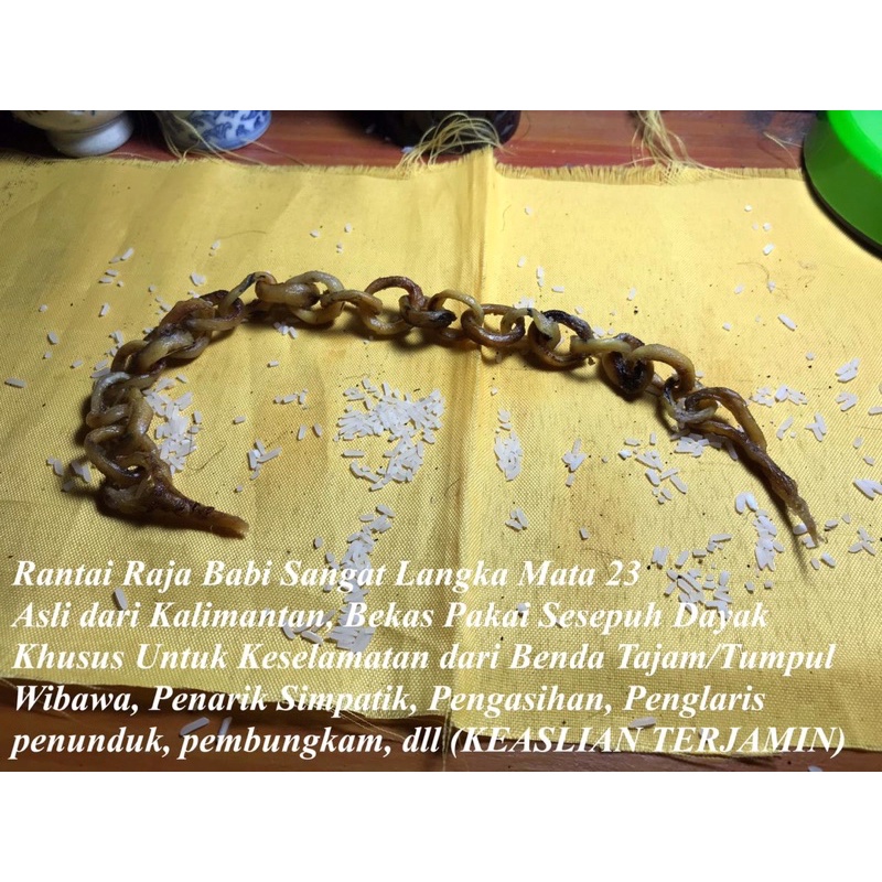 Jual Rantaii Babii Bentuk Daging Peninggalan Dayak Kalimantan Rantai 23 ...