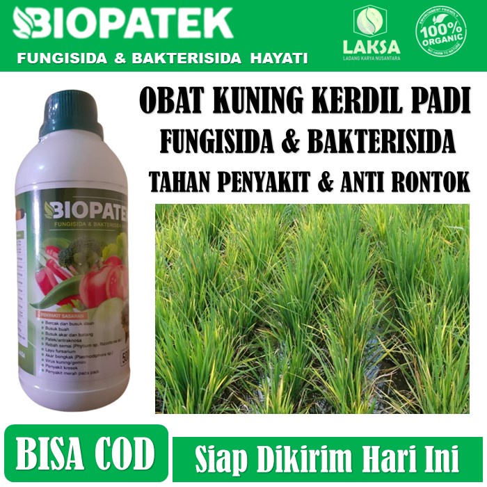 Jual BIOPATEK OBAT PADI KERDIL DAUN KUNING TERBAIK - Obat Semprot Atasi Virus Kuning Daun Padi ...