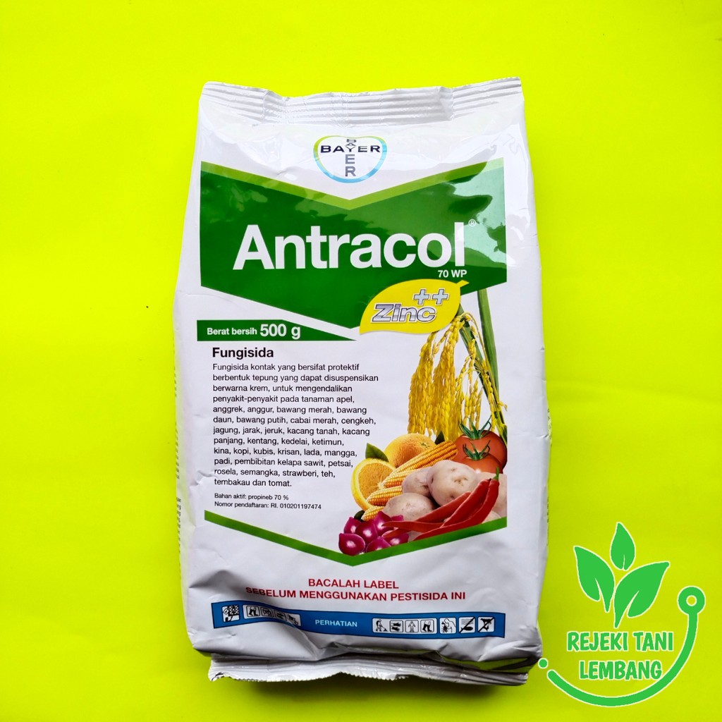 Jual FUNGISIDA ANTRACOL 70 WP 500GR PT BAYER INDONESIA | Shopee Indonesia