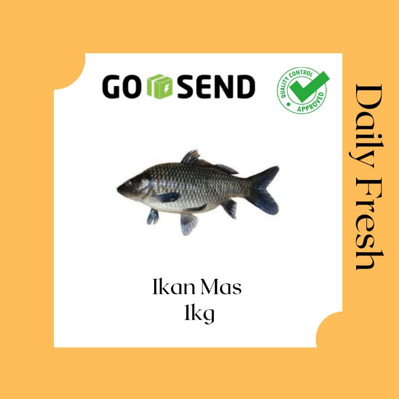 Jual ikan Segar - Ikan Mas Segar - Ikan Fresh - Ikan Murah | Shopee ...