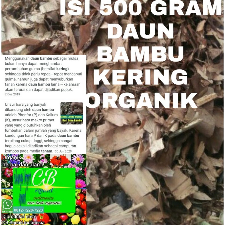 Jual bambu/daun bambu kering organik 500gram | Shopee Indonesia