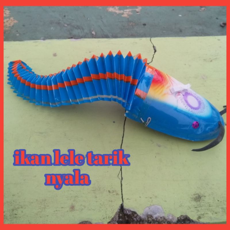 Jual mainan anak nyala lele tarik /lele mainan anak nyala/lelelelenan ...
