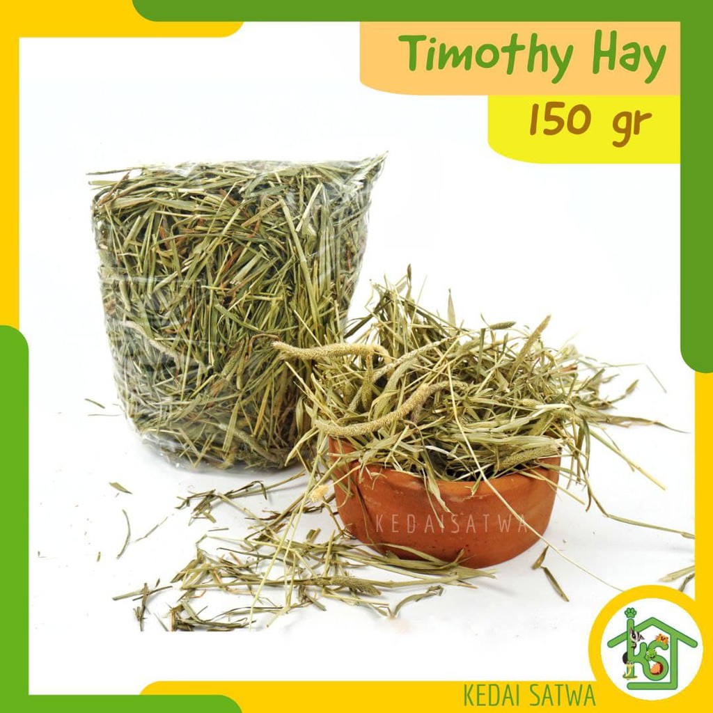 Jual Hay Timothy Rumput Kering Pakan Kelinci Marmut Guinea pig atau ...