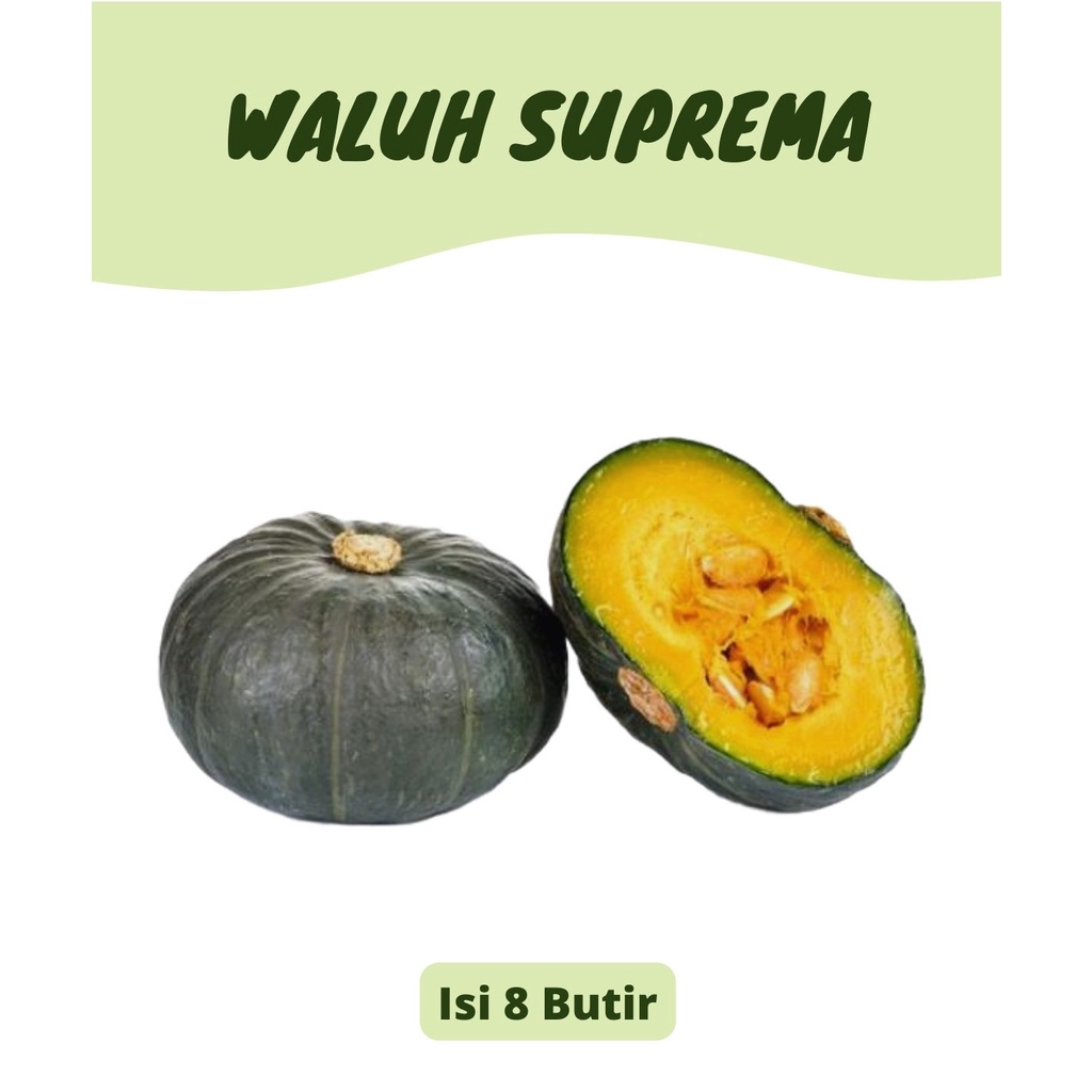 Jual Repack Series - Bibit Tanaman Waluh Suprema 4 seed | Shopee Indonesia