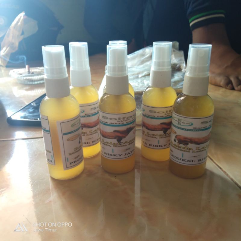 Jual racun lalat 4 botol | Shopee Indonesia