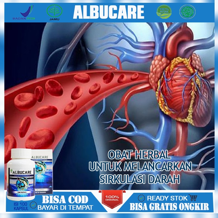 Jual Obat Untuk Melancarkan Sirkulasi Darah, Obat Herbal Tradisional ... Jual Obat Untuk Melancarkan Sirkulasi Darah, Obat Herbal Tradisional ...